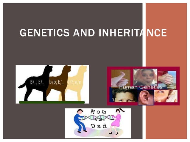 Genetics and inheritance | PPTX
