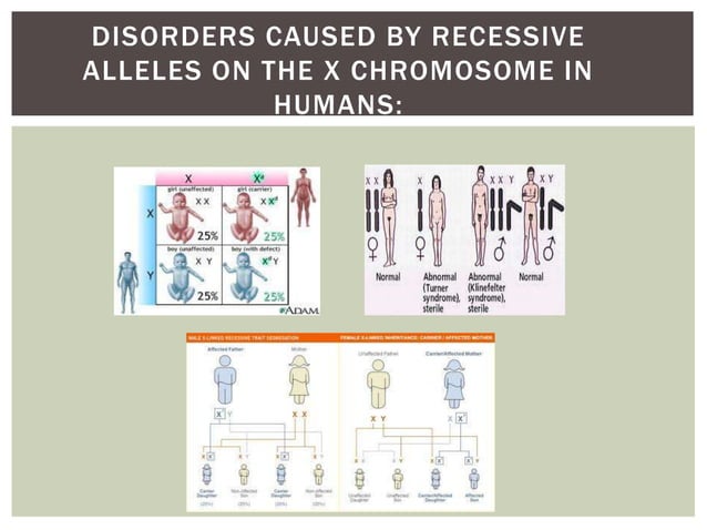 Genetics and inheritance | PPTX