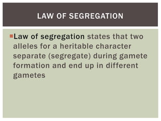 Genetics and inheritance | PPTX