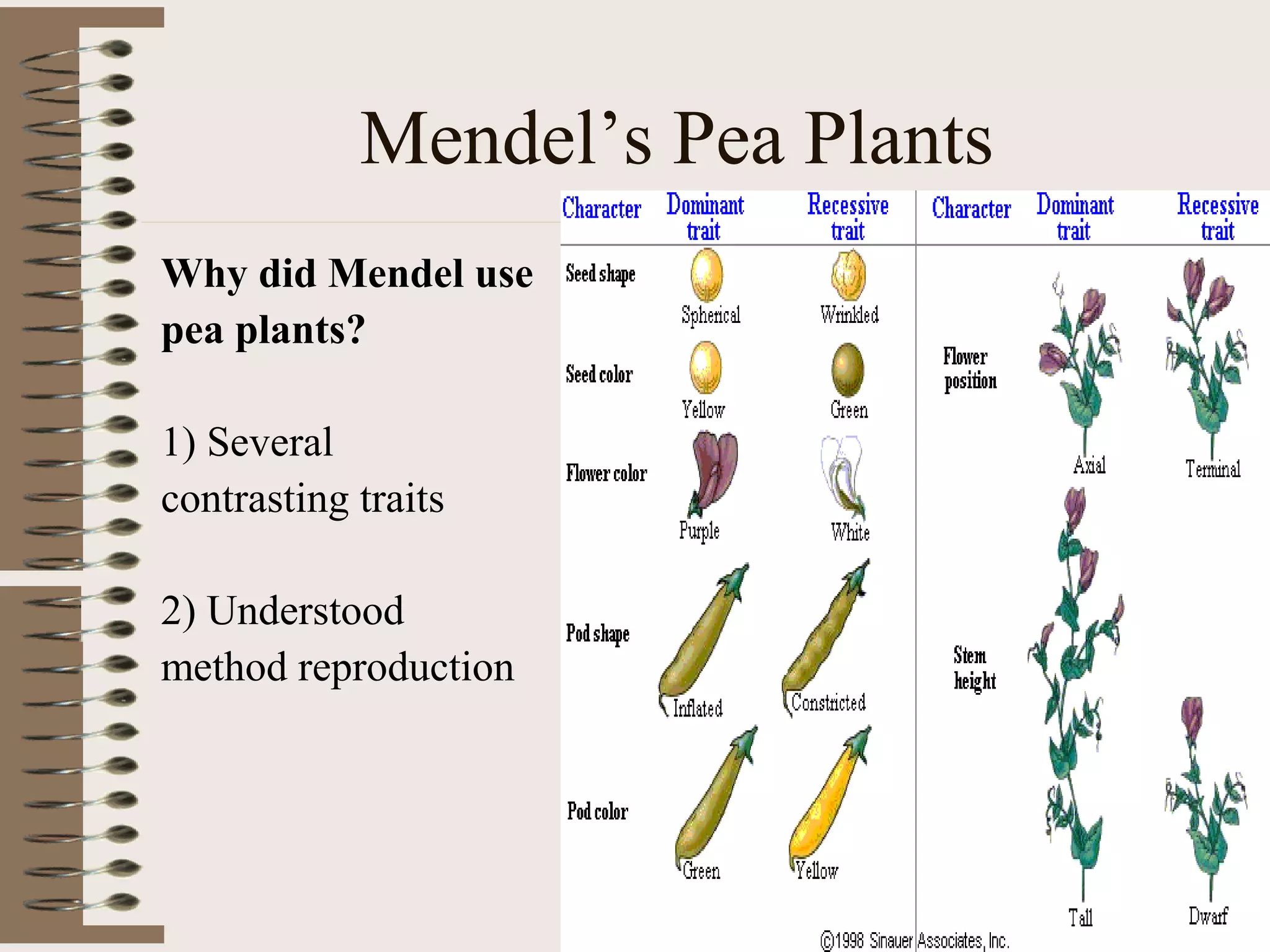 Genetics and inheritance | PPT