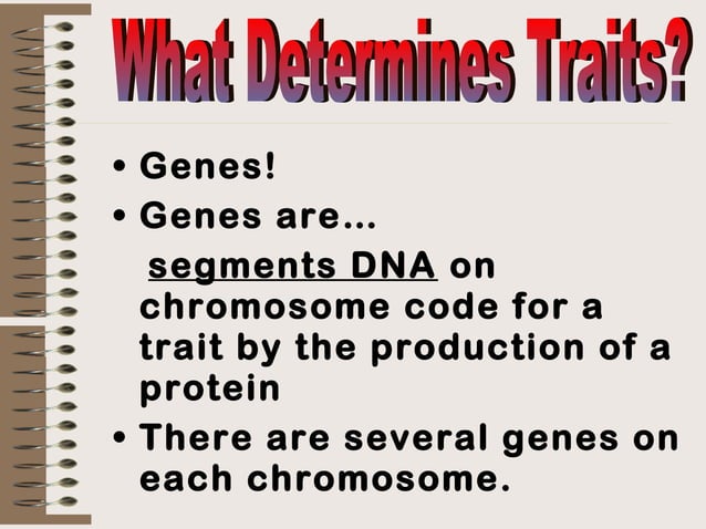 Genetics and inheritance | PPT