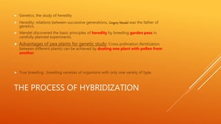 Genetics and inheritance | PPTX