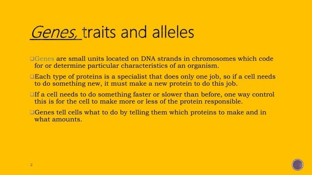 Genetics and inheritance | PPTX | Genetics | Science