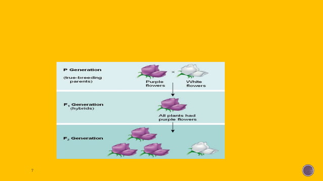 Genetics and inheritance | PPTX | Genetics | Science