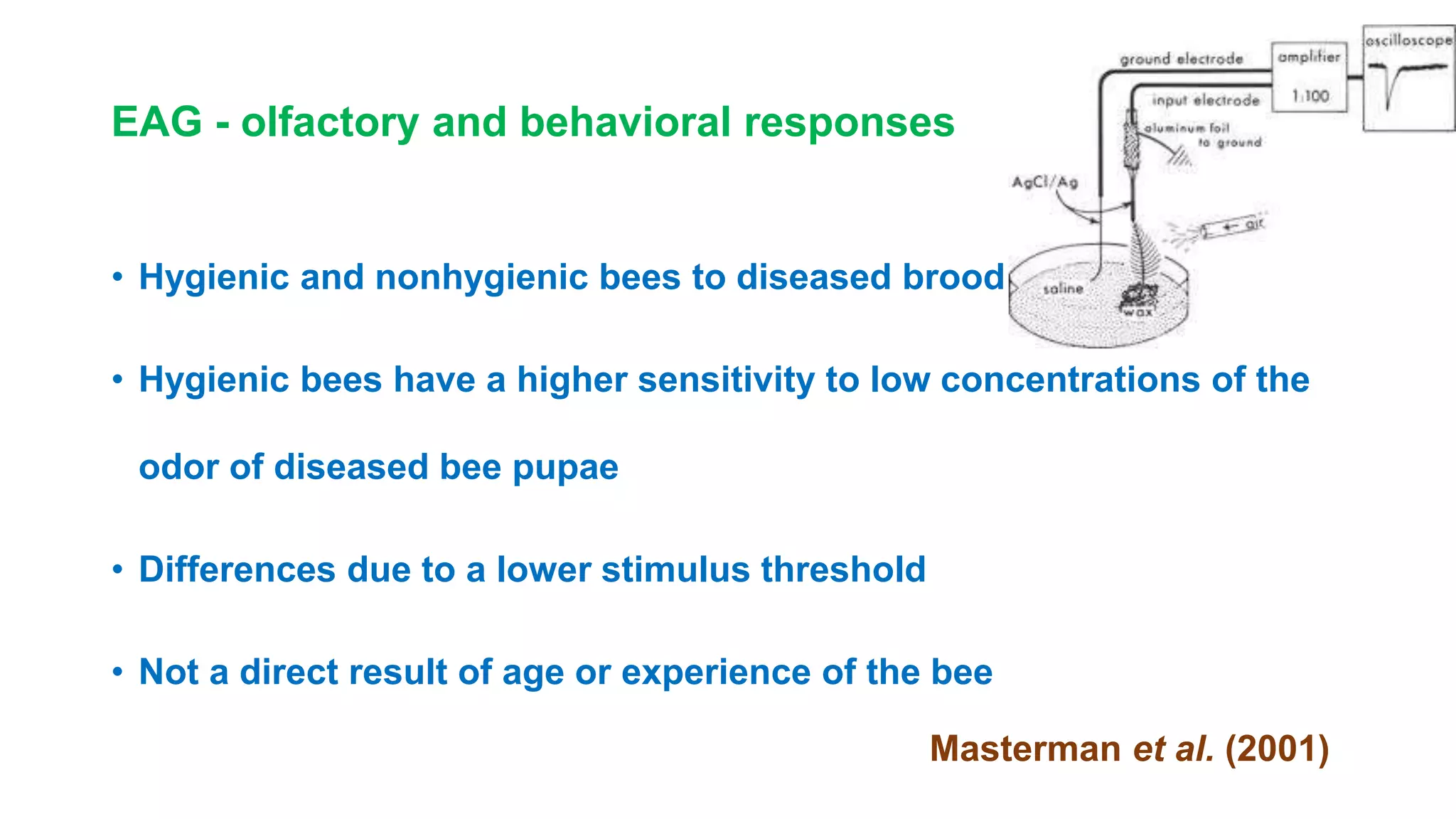 Genetics and insect behaviour | PPTX