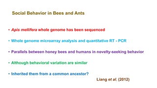 Genetics and insect behaviour | PPTX