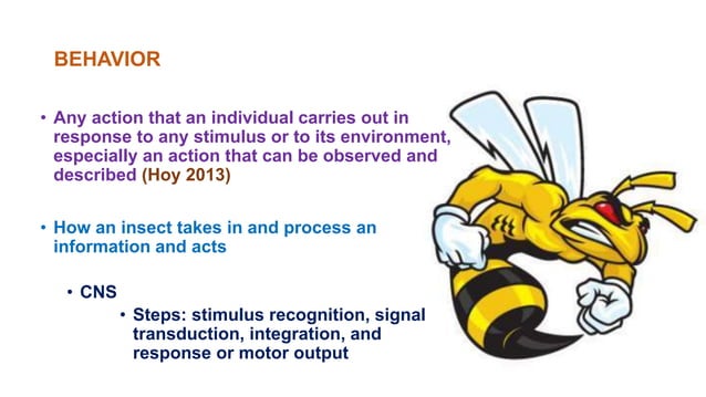 Genetics and insect behaviour | PPTX | Beekeeping | Hobbies & Interests