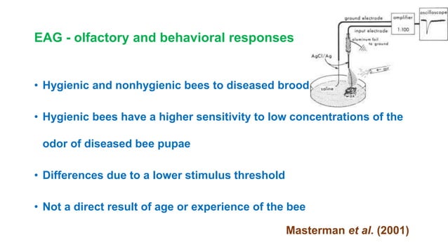 Genetics and insect behaviour | PPTX | Beekeeping | Hobbies & Interests