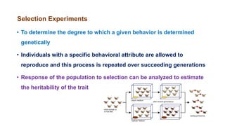 Genetics and insect behaviour | PPTX
