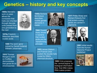 Genetics and its history with gregor mendel law | PPTX