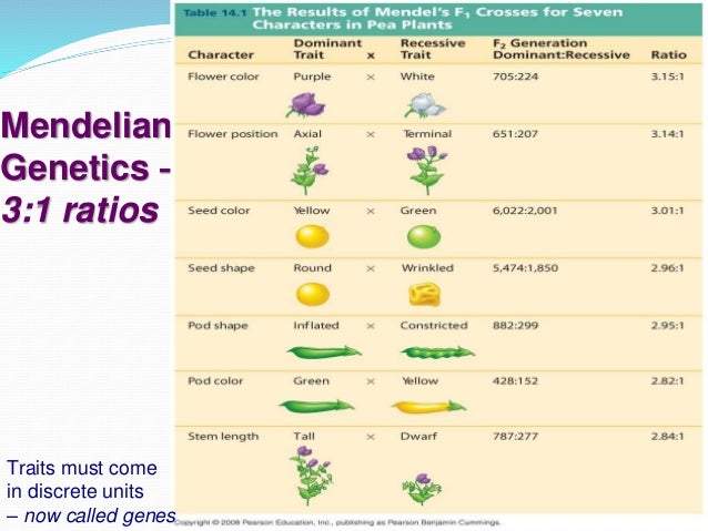 Genetics and its history with gregor mendel law