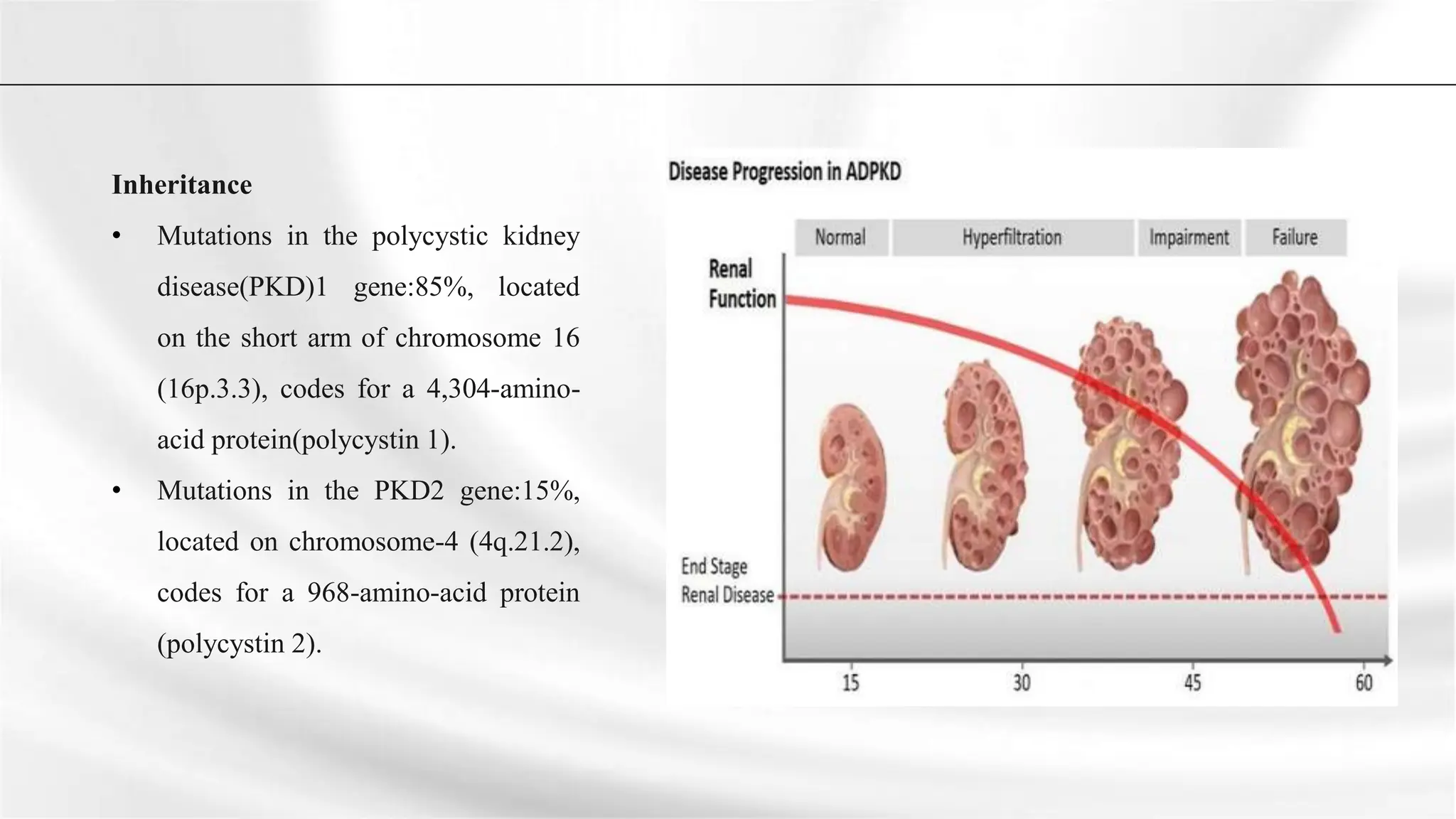 GENETICS and KIDNEY DISEASES / | PPTX