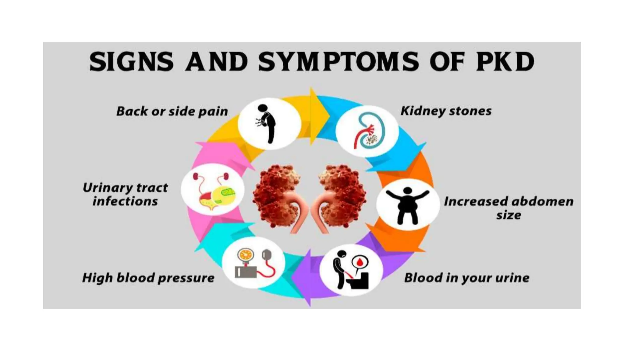 GENETICS and KIDNEY DISEASES / | PPTX