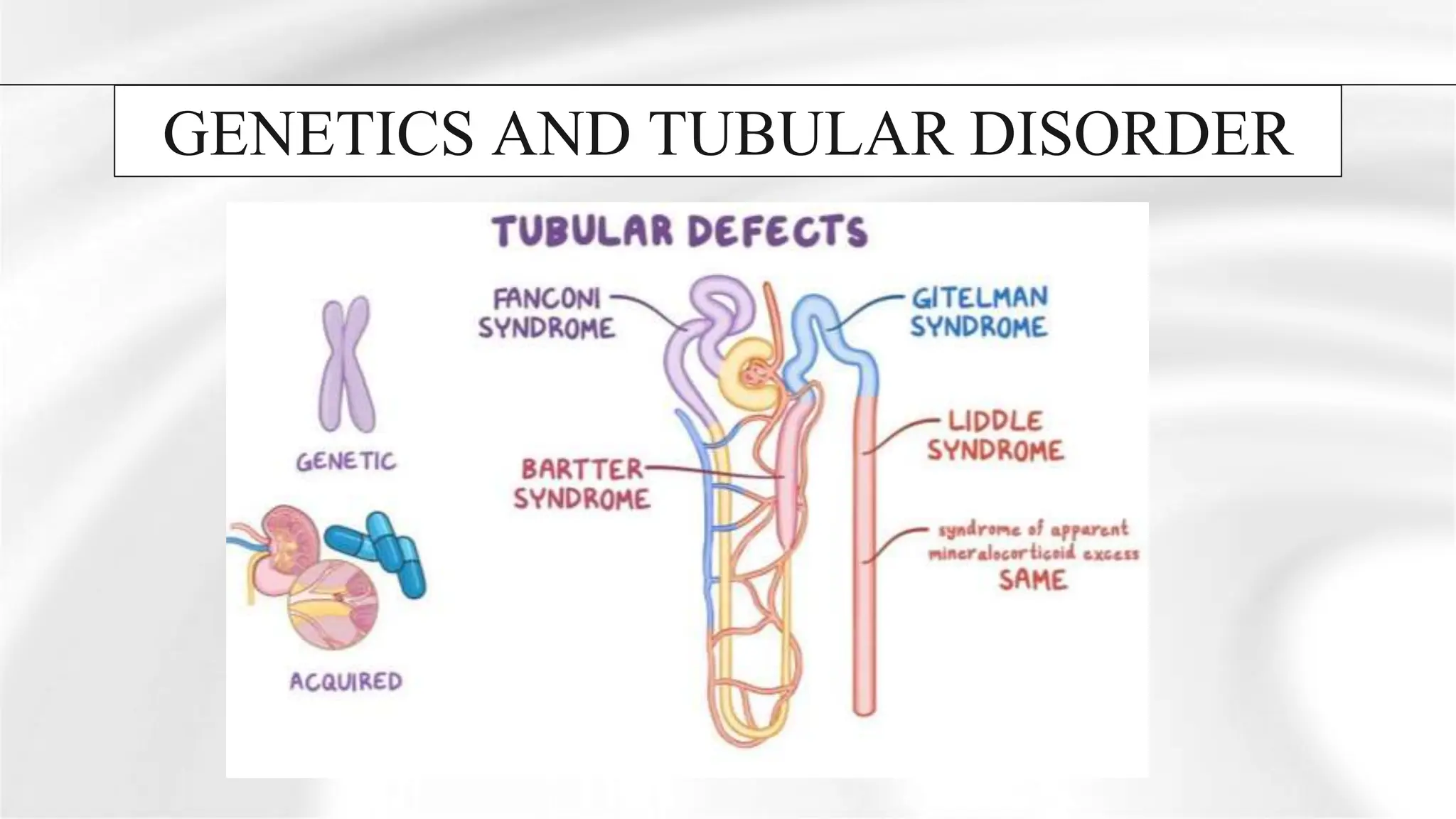 GENETICS and KIDNEY DISEASES / | PPTX
