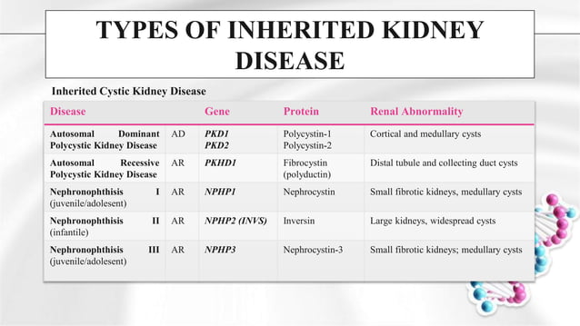 GENETICS and KIDNEY DISEASES / | PPTX