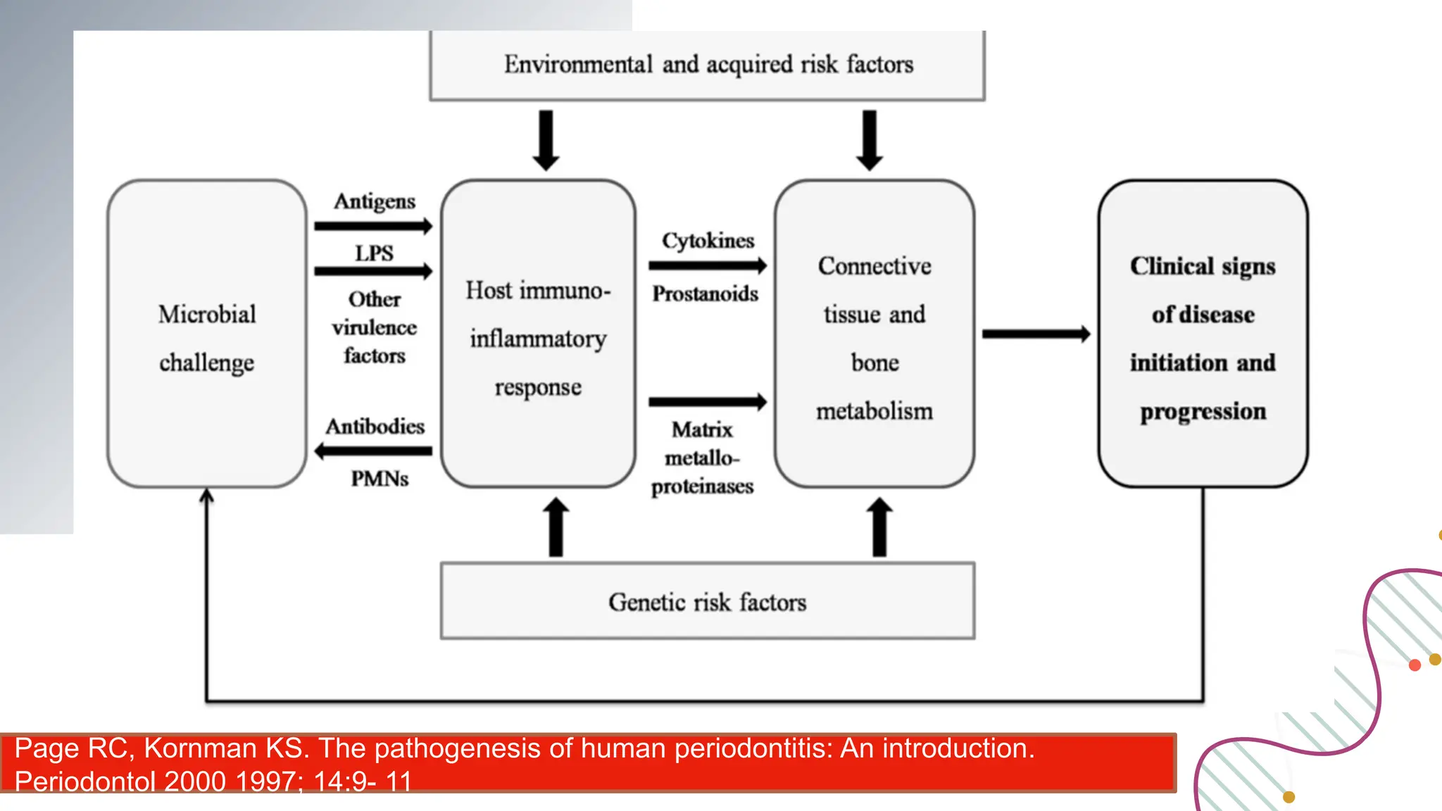 Genetics and their effects in periodontal disease.pptx