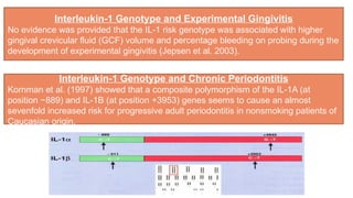 Genetics and their effects in periodontal disease.pptx