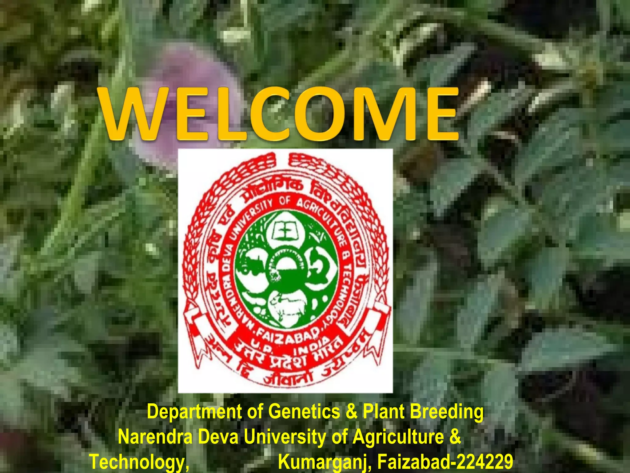 Genetics and plant breeding seminar | PPT