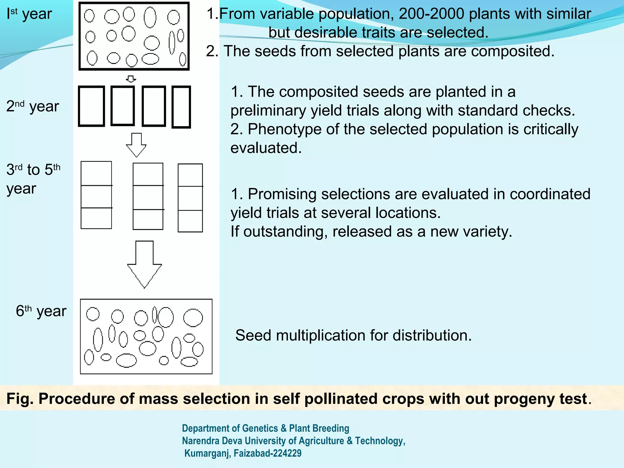 Genetics and plant breeding seminar | PPT