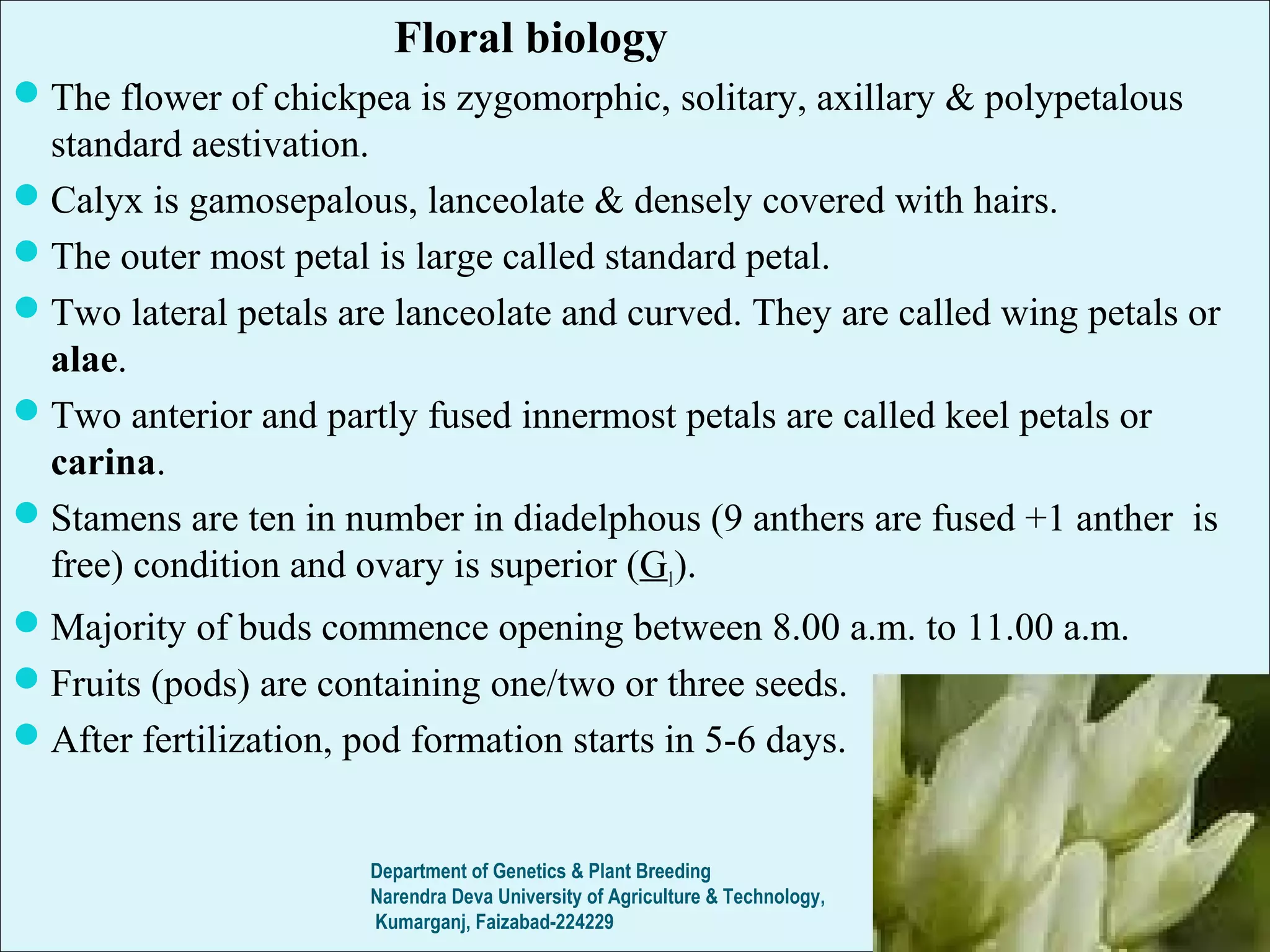 Genetics and plant breeding seminar | PPT