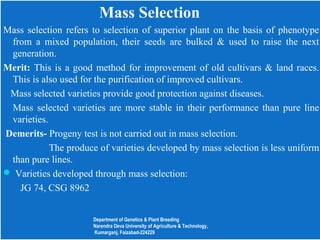 Genetics and plant breeding seminar | PPT
