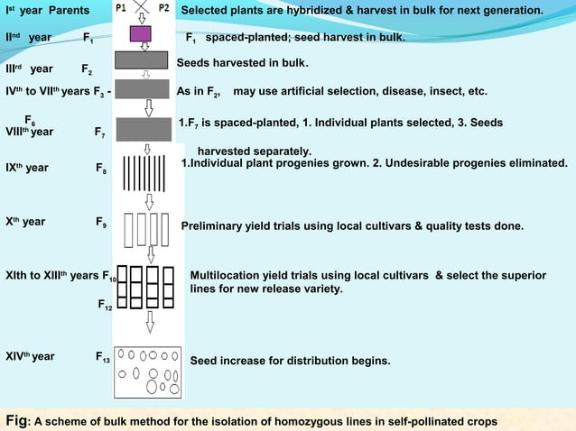 Genetics and plant breeding seminar | PPT