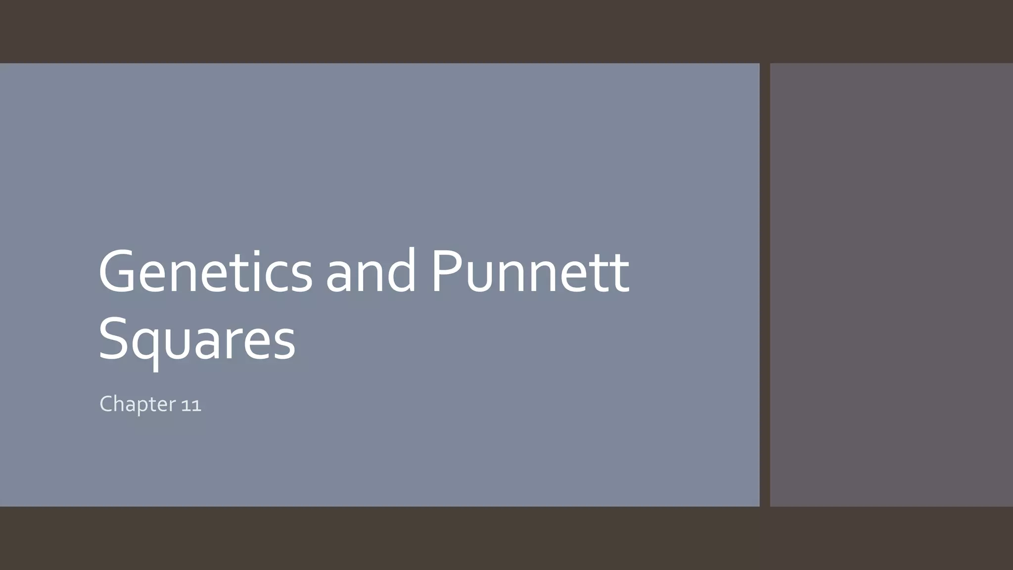 Genetics and punnett squares | PPTX | Genetics | Science