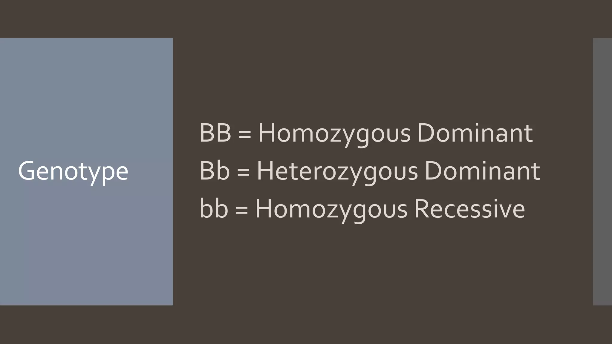 Genetics and punnett squares | PPTX