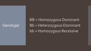 Genetics and punnett squares | PPTX | Genetics | Science