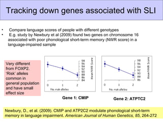 Genetics and SLI | PPT
