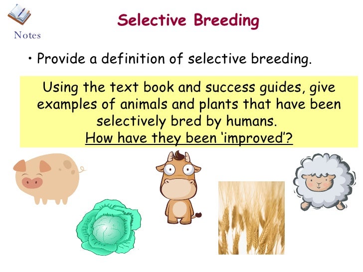 Selective Breeding Examples