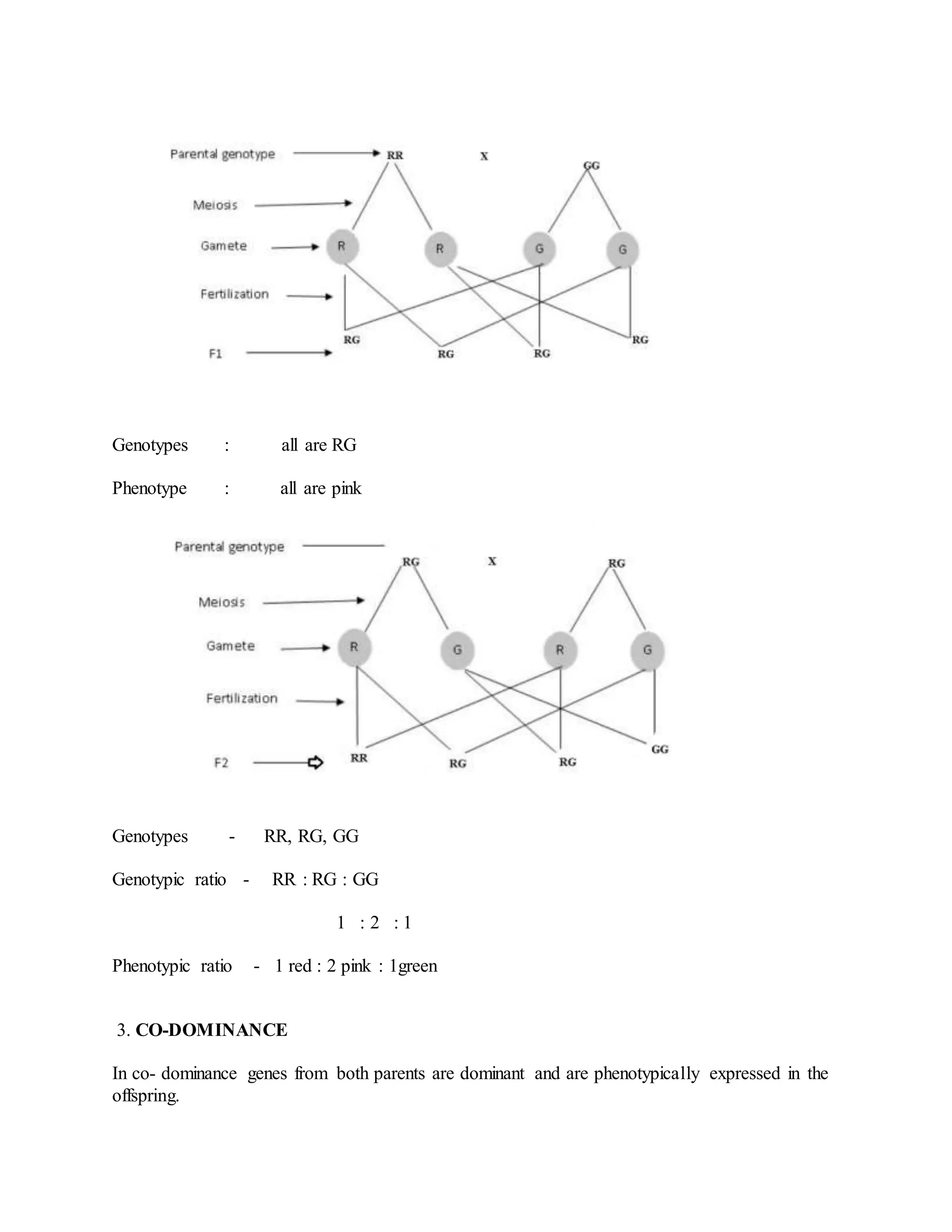 Genetics and variation 1 | PDF