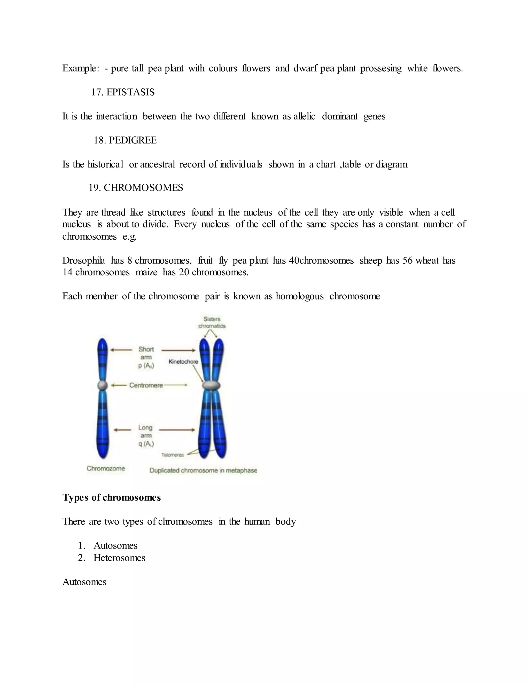 Genetics and variation 1 | PDF