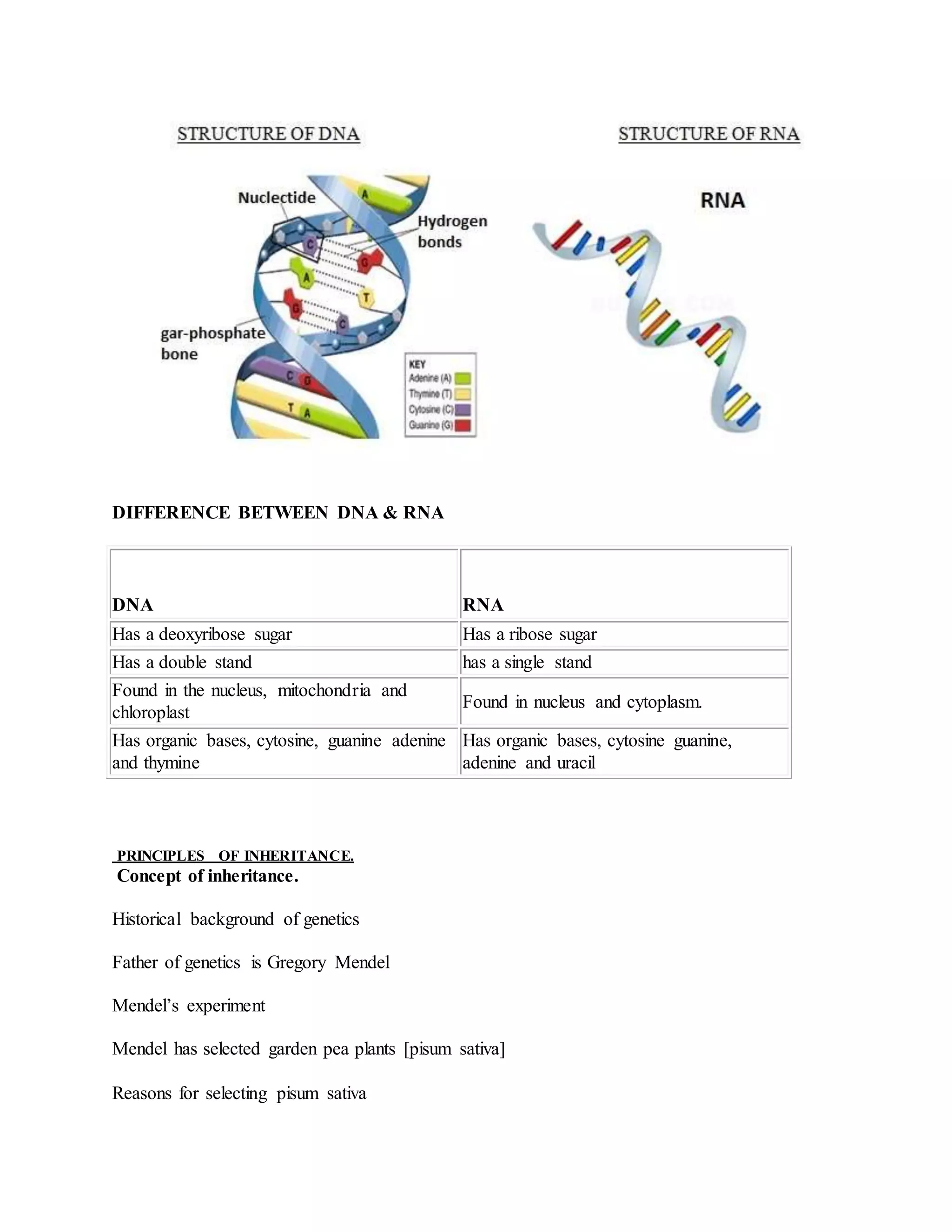 Genetics and variation 1 | PDF