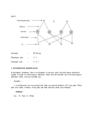 Genetics and variation 1 | DOCX