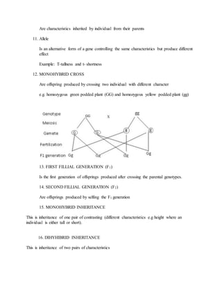 Genetics and variation 1 | DOCX