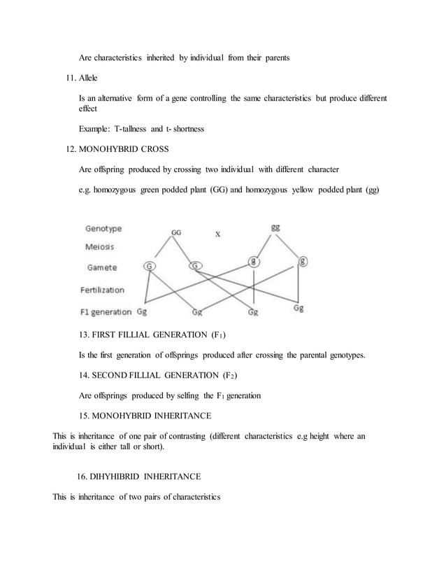 Genetics and variation 1 | PDF
