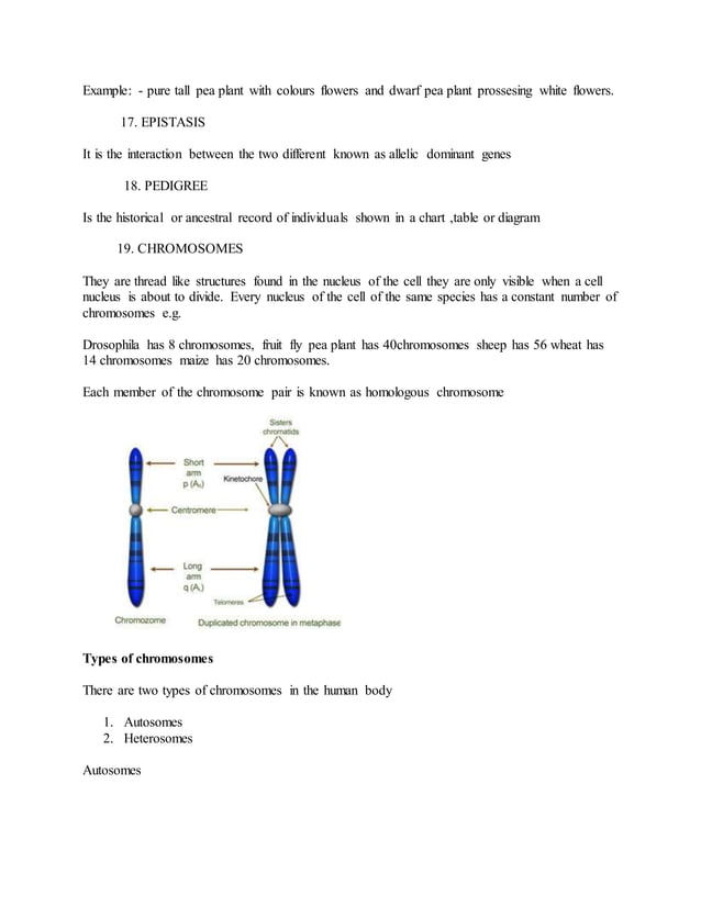 Genetics and variation 1 | PDF