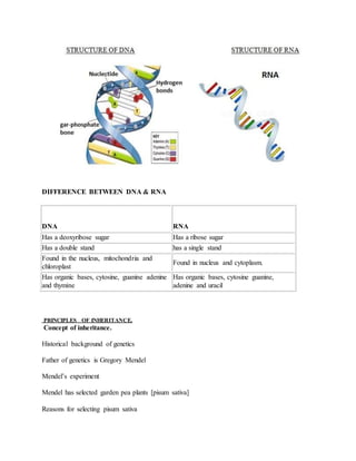 Genetics and variation 1 | DOCX