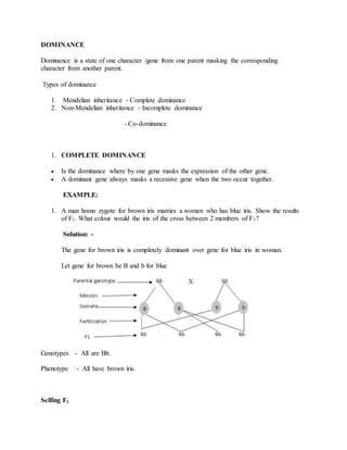 Genetics and variation 1 | PDF