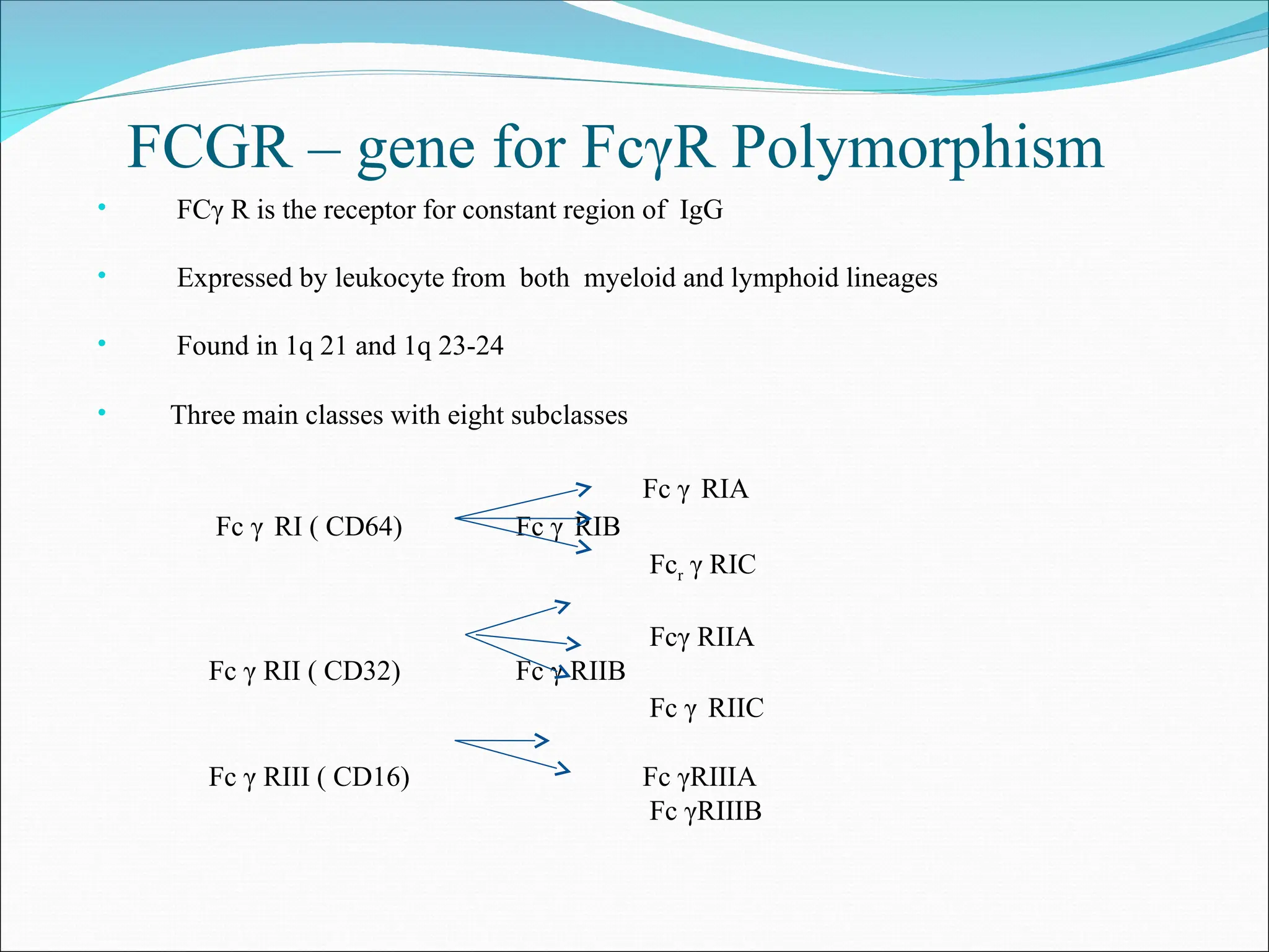 Genetics as risk factor for periodontitis | PPT