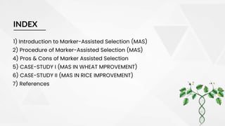 Marker-Assisted Selection (MAS) {with two real-world case studies} | PDF