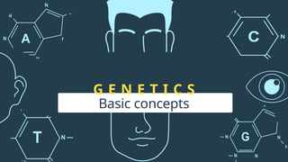 Genetics Basic concept this concept is base on genetics | PPTX