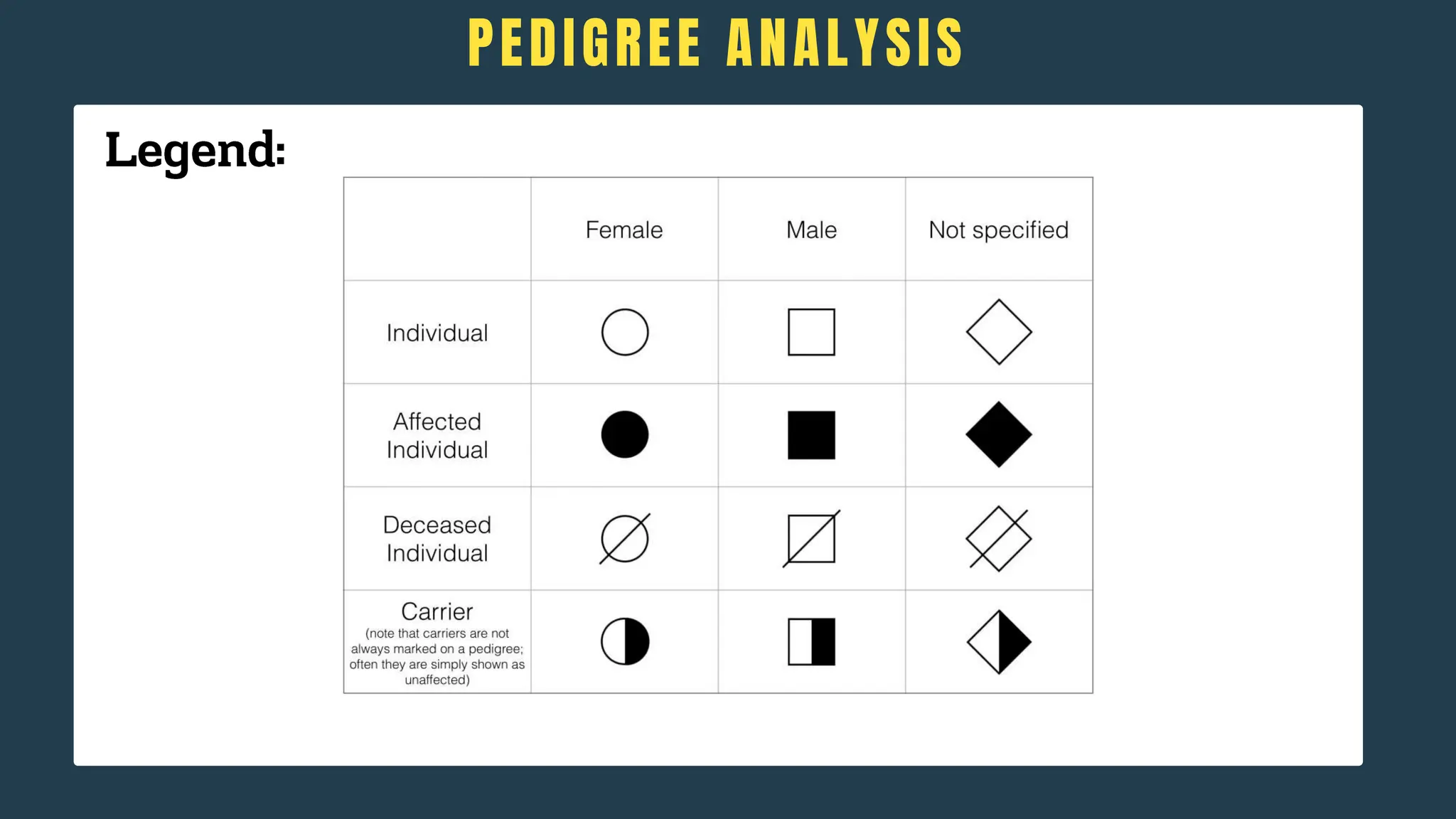 Genetics Basic concepts Presentation in colorful ilustrative style.pptx