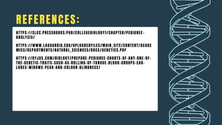 Genetics Basic concepts Presentation in colorful ilustrative style.pptx