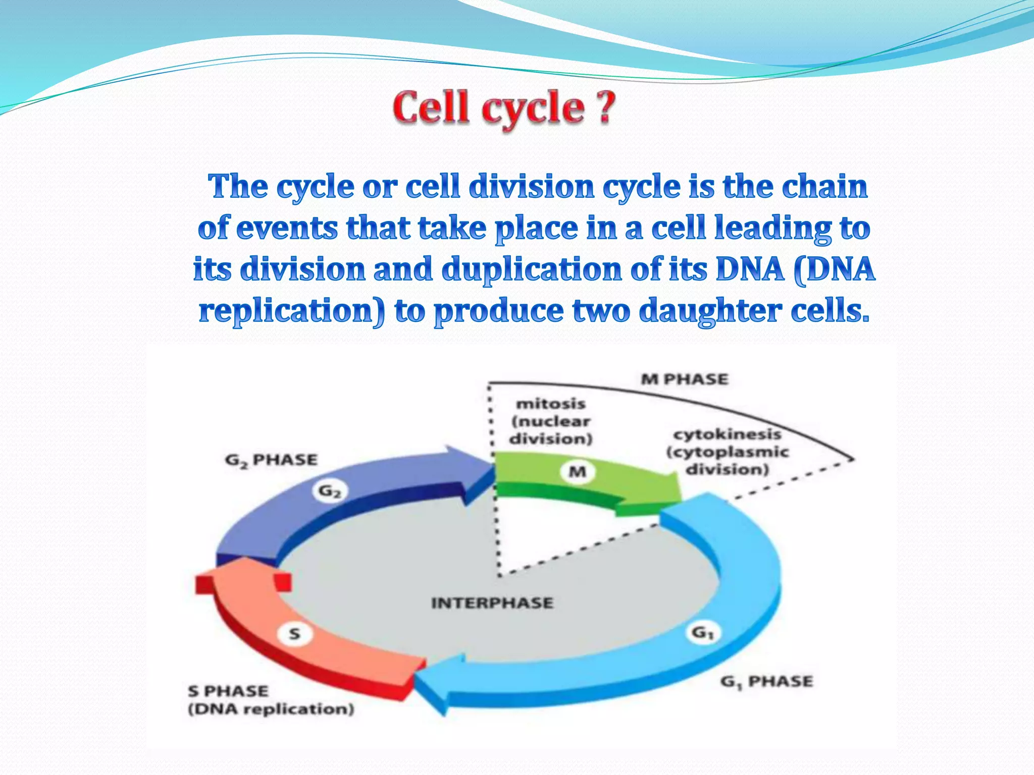 Genetics and biochemistry of cell cycle | PPT