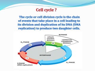 Genetics and biochemistry of cell cycle | PPTX
