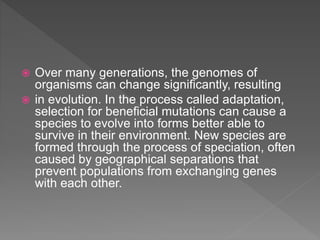 Genetics Biology | PPTX
