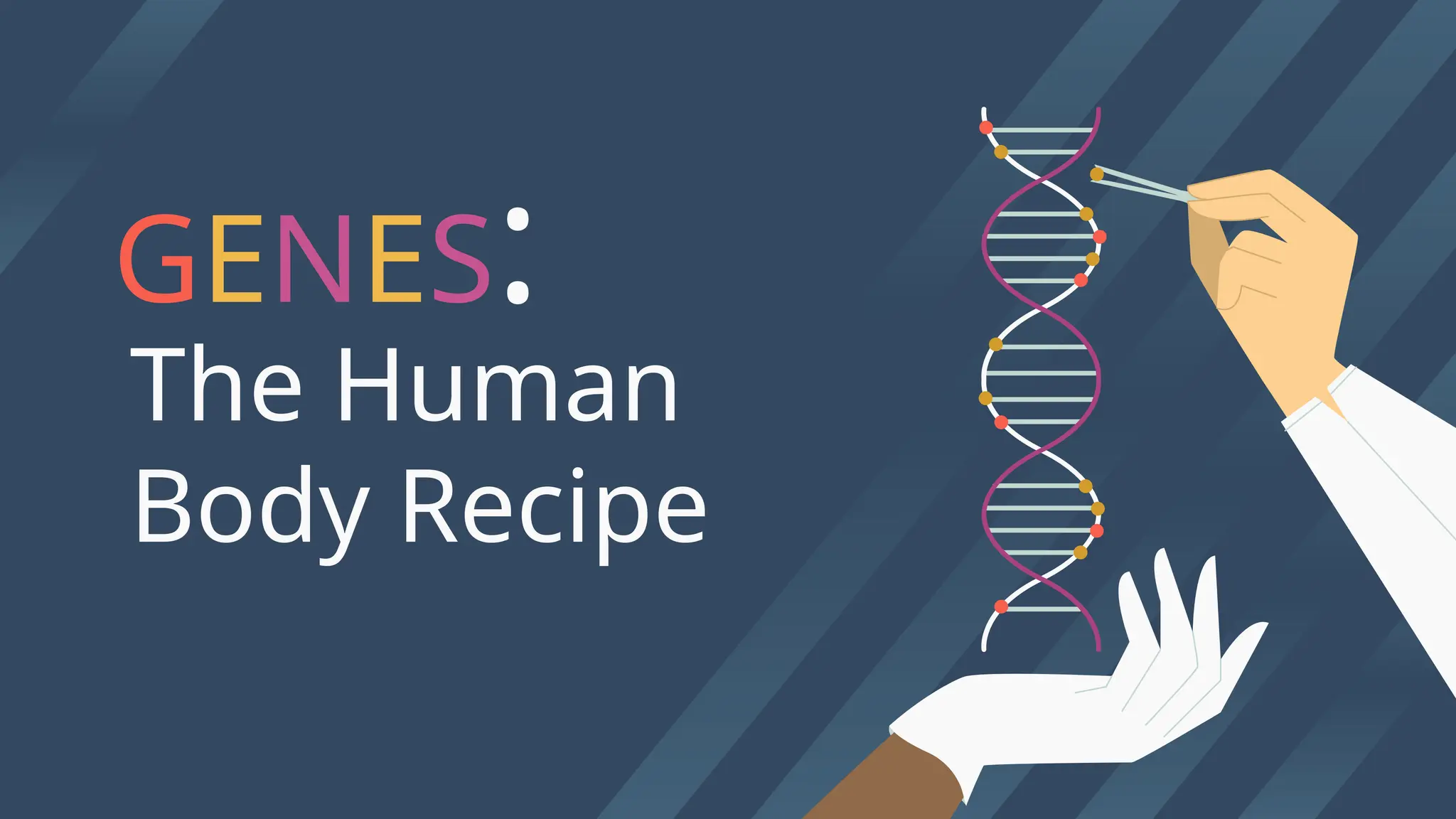 Genetics Biology, The Human Body Recipe. | PPT