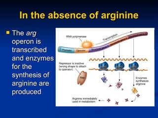 Genetics c | PPT | Chemistry | Science